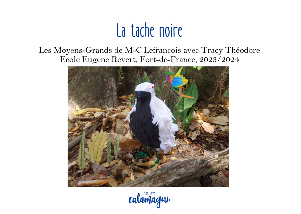 La tache noire – MC Lefrancois – Mon livre Calamagui